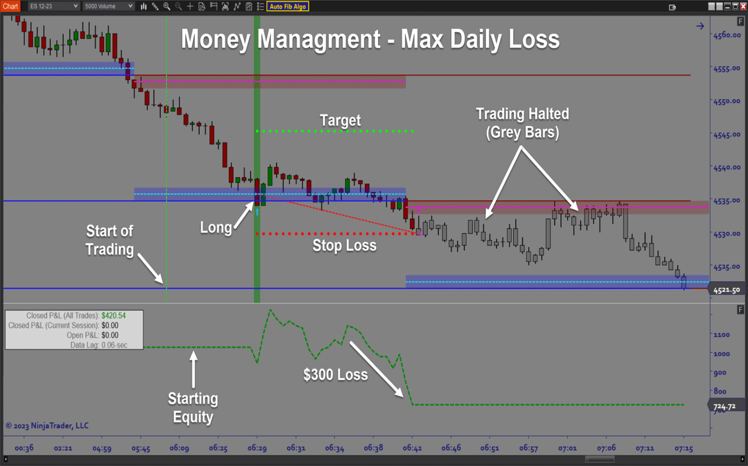AutoFib Algo - Momentum Reversal Algorithm - Architects AI